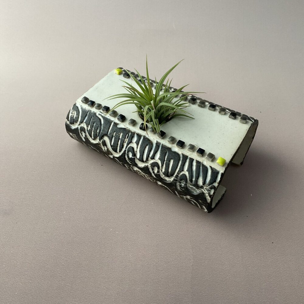 Black and White Air Plant Vase and Plant, Stoneware Clay, Mary Neff ...
